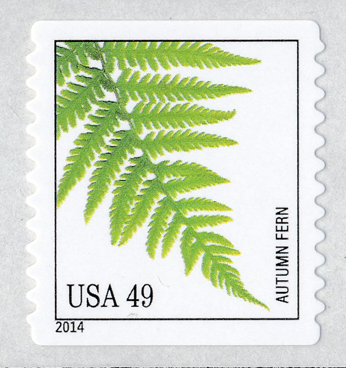 Modern U.S. Stamps: Scott 4848-4852; 4852a, 49c Ferns (Coil)