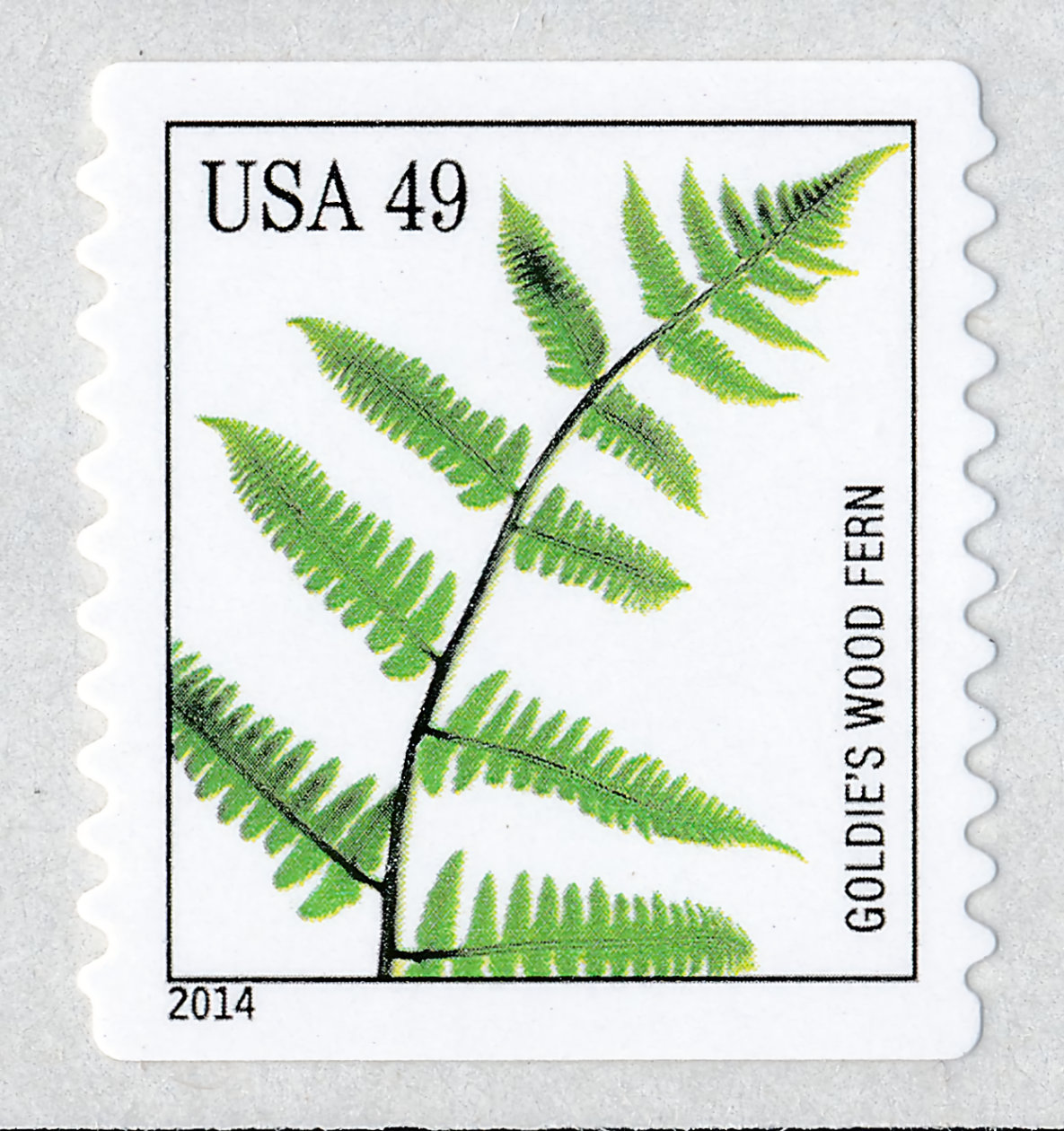 Modern U.S. Stamps: Scott 4848-4852; 4852a, 49c Ferns (Coil)