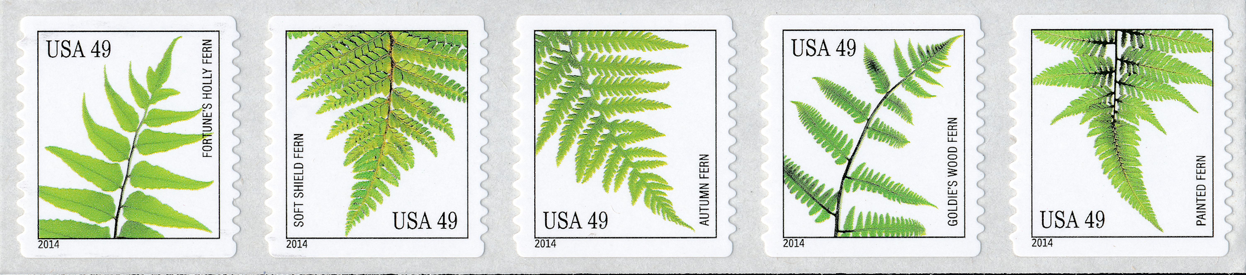 Modern U.S. Stamps: Scott 4848-4852; 4852a, 49c Ferns (Coil)